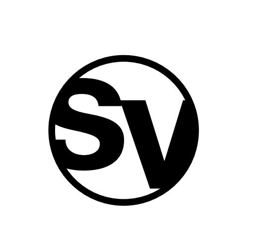 SWV logo - Young Women's Alliance